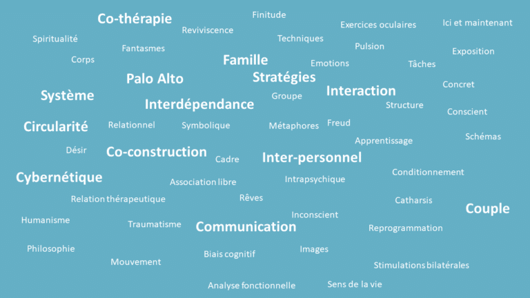 Thérapie systémique | Centre Emergences